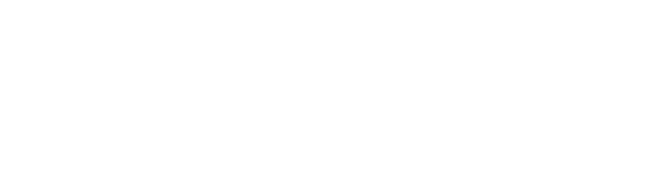 Meet our Team – Body Brain Alliance